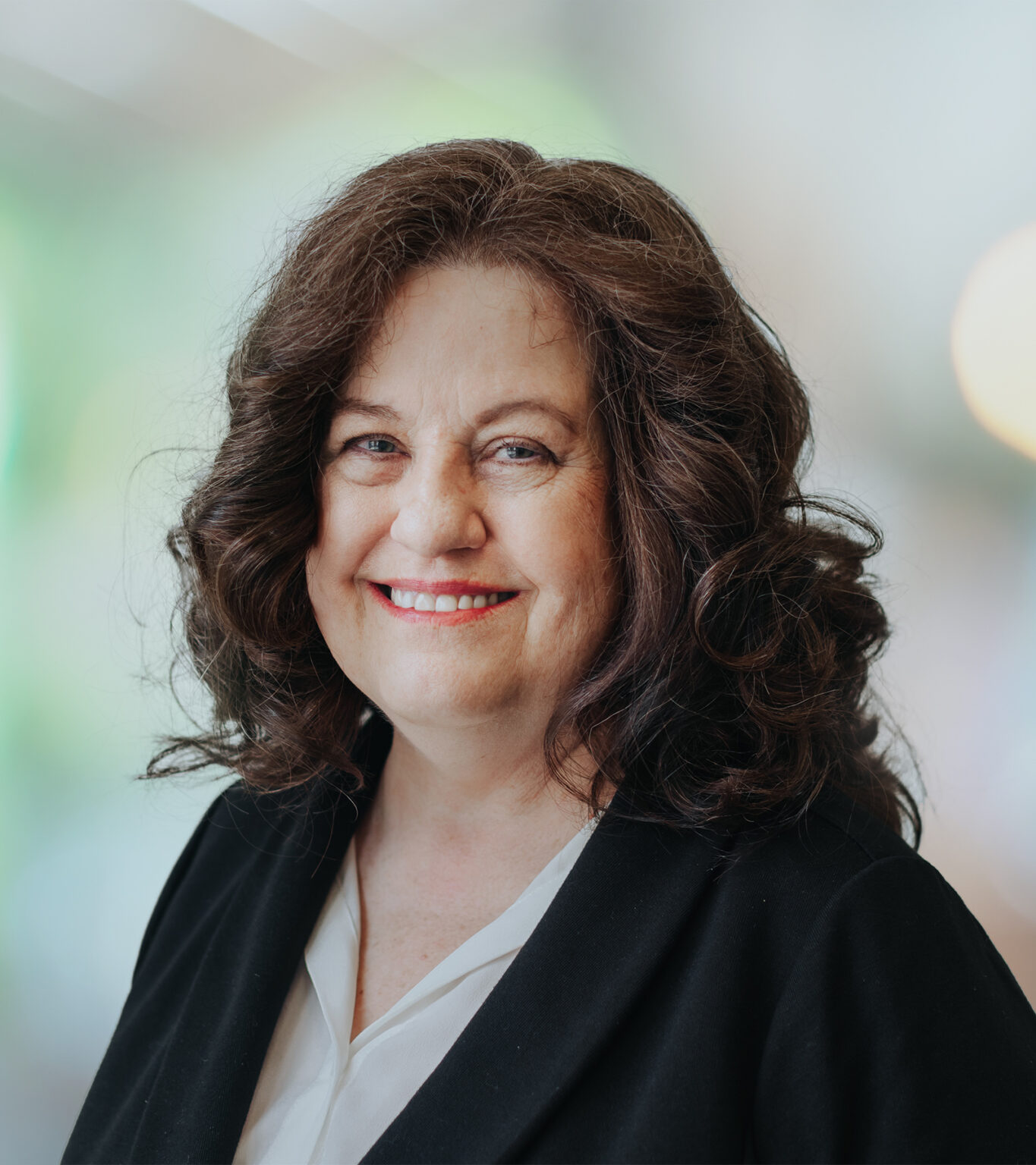 Our Team – Schonbuch Hallissy LLP