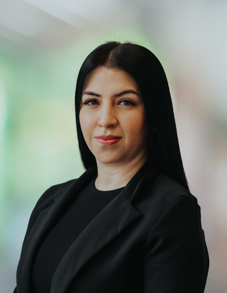 Our Team – Schonbuch Hallissy LLP