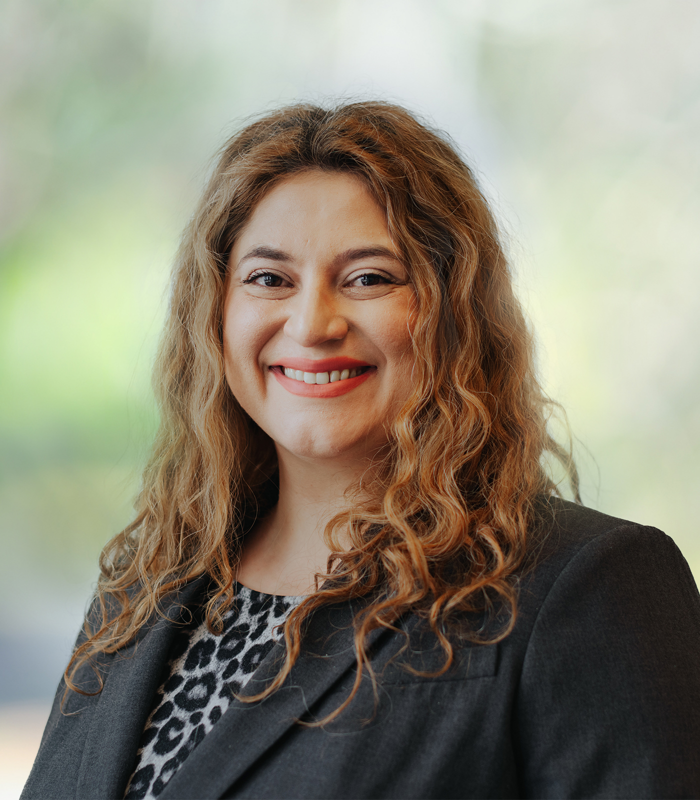 Our Team – Schonbuch Hallissy LLP